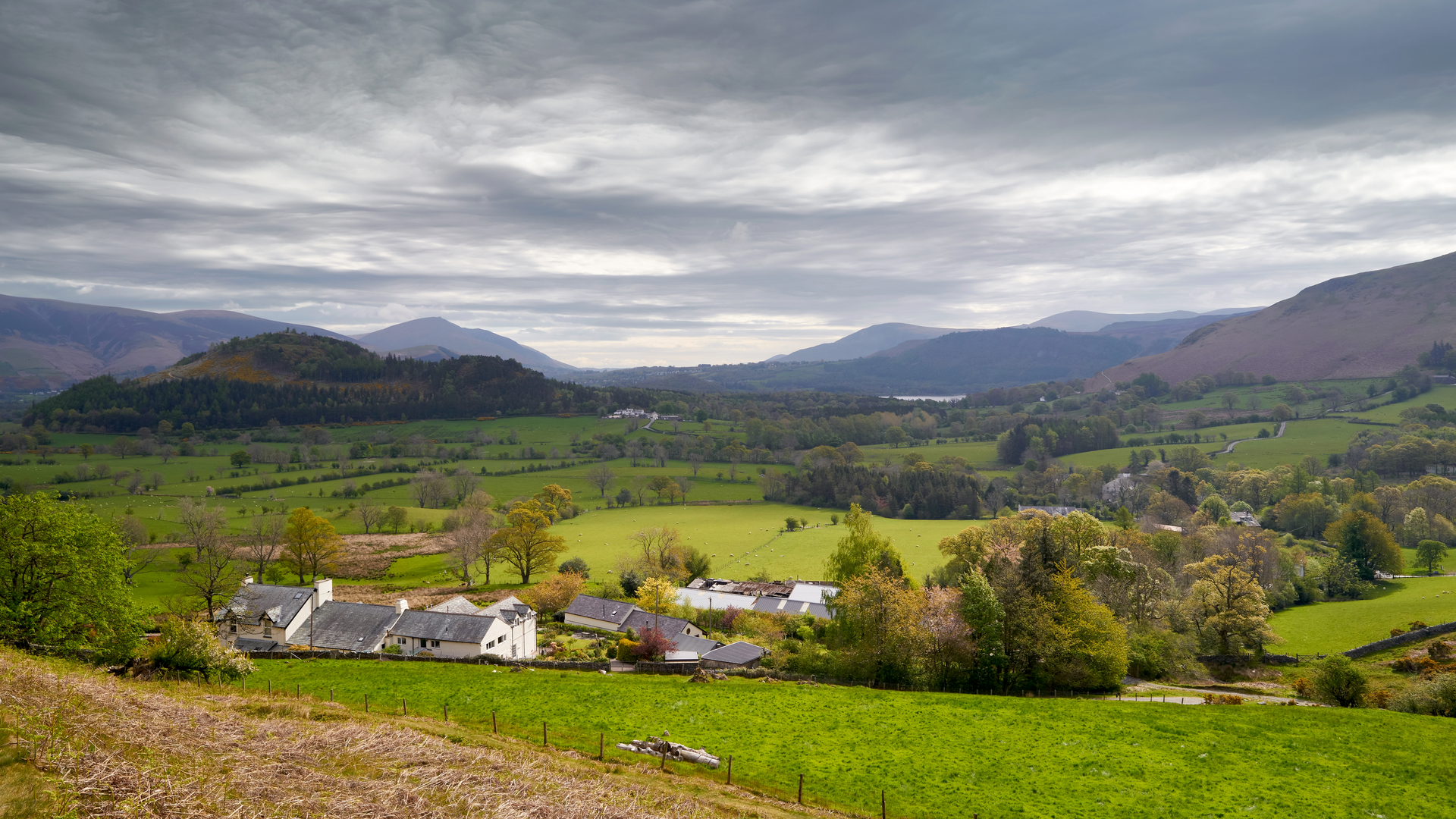 Ian Ritchie Land Agents – Ian Ritchie Land Agents