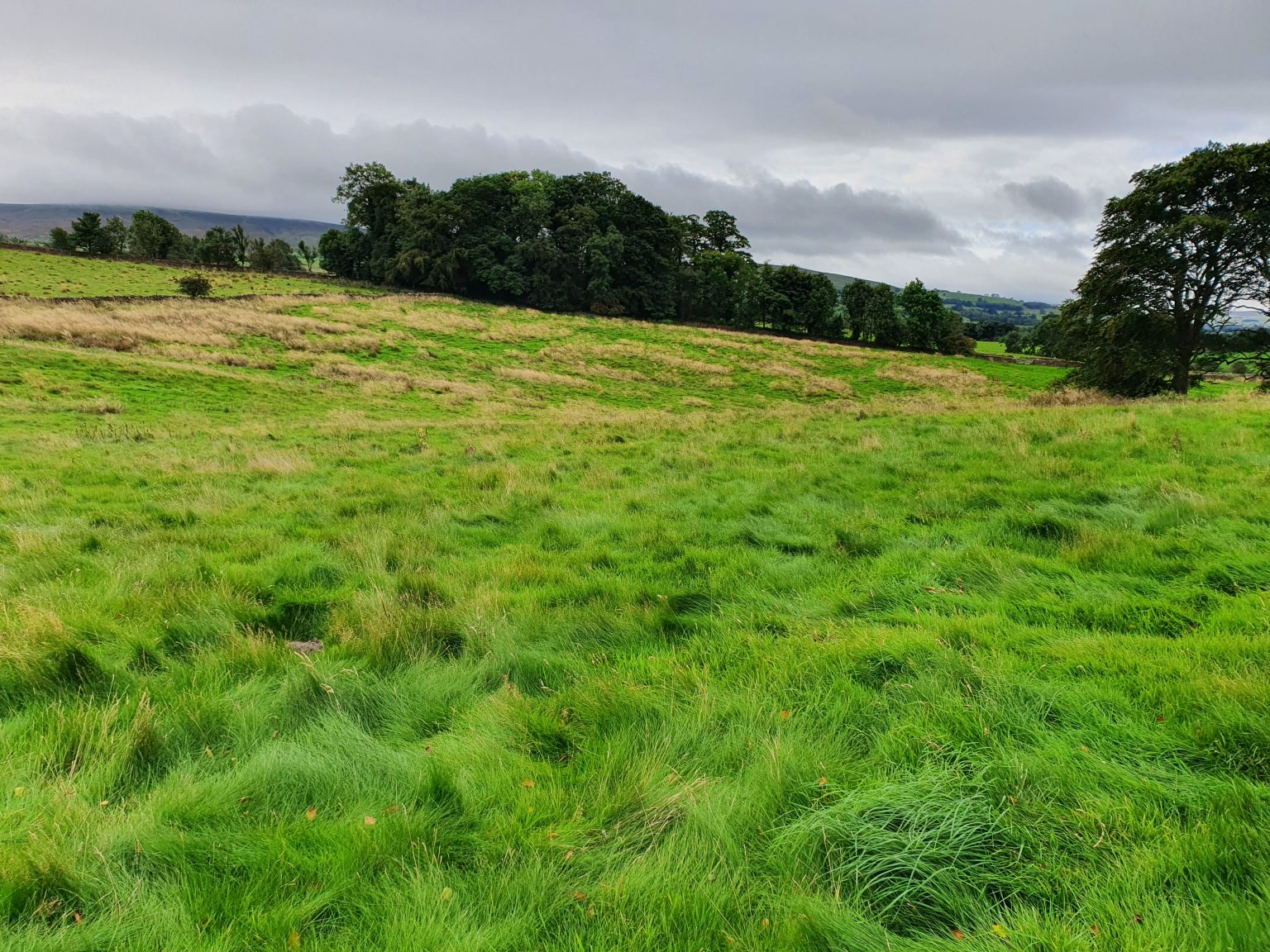 Ian Ritchie Land Agents – Ian Ritchie Land Agents