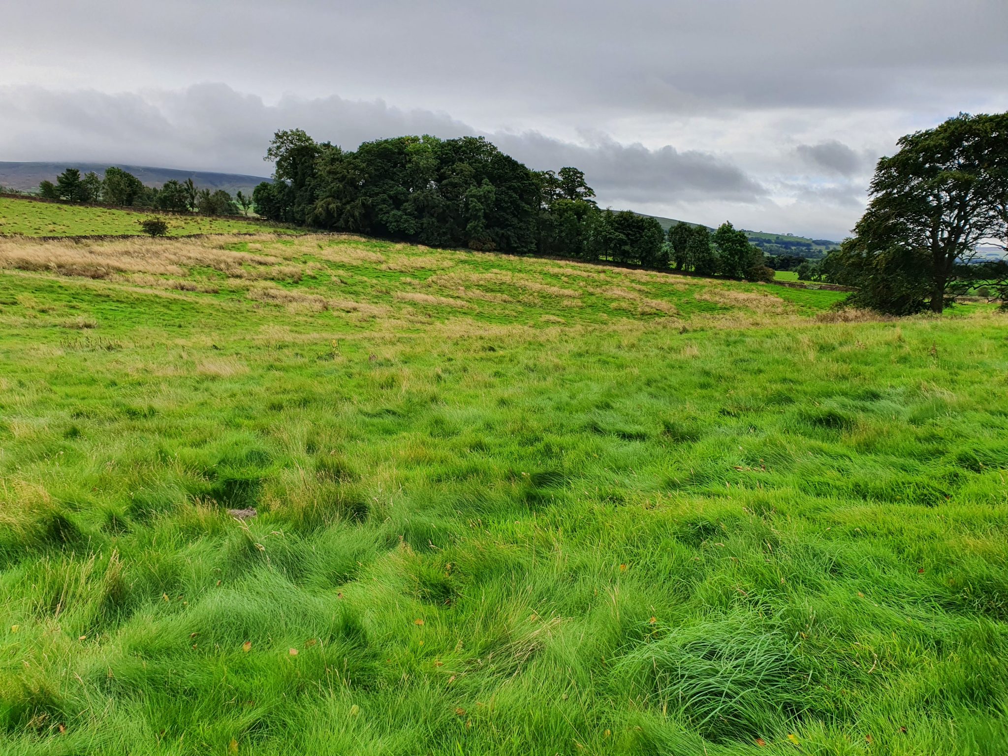 Ian Ritchie Land Agents – Ian Ritchie Land Agents