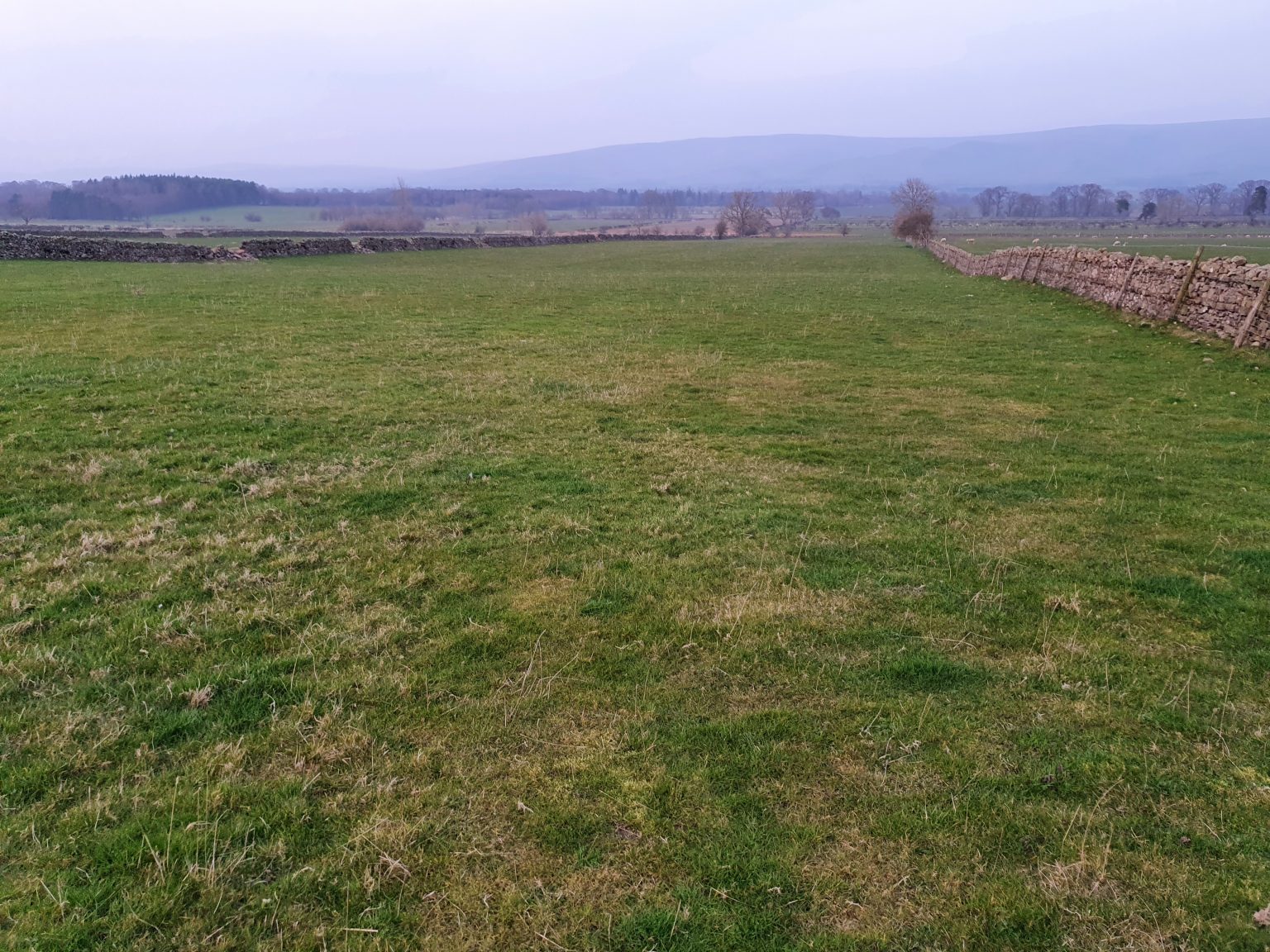 Properties For Sale – Ian Ritchie Land Agents