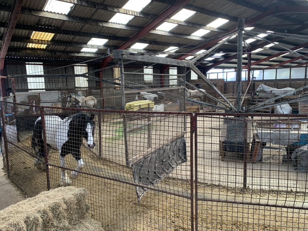 Pine Lodge, Skelton Wood End, Penrith CA11 9UB – 9.96 acres (4.03 ...