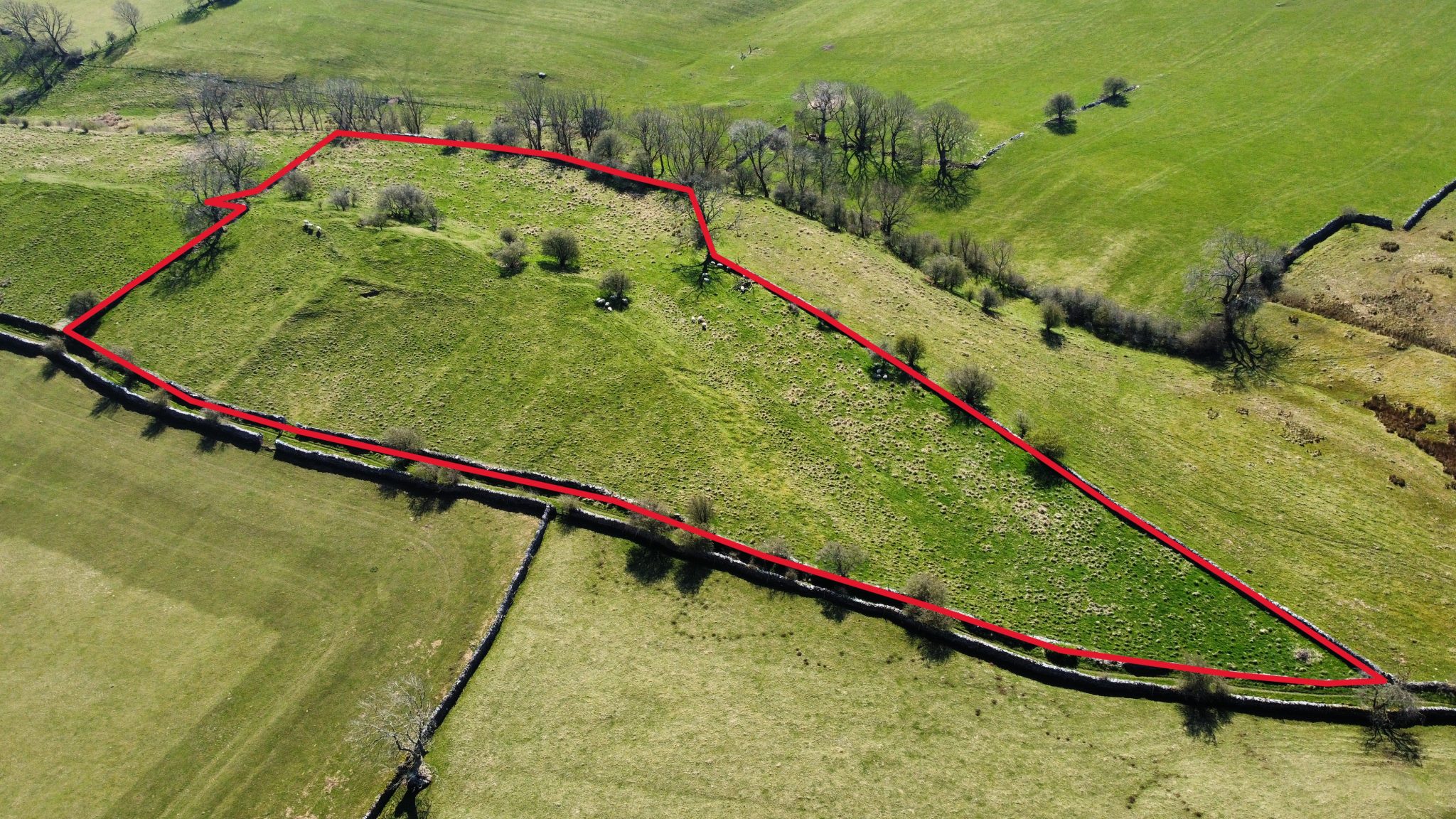 Ian Ritchie Land Agents – Ian Ritchie Land Agents